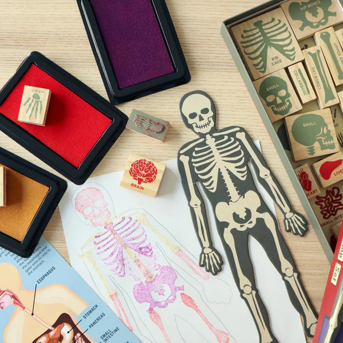 Anatomy Stamp Set – Present Indicative