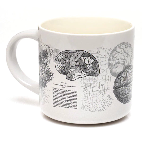 Brain Anatomy Mug – Present Indicative