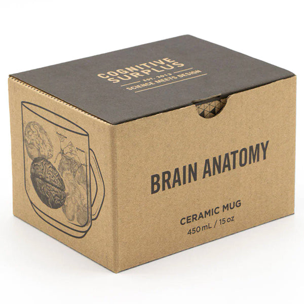 Brain Anatomy Mug – Present Indicative