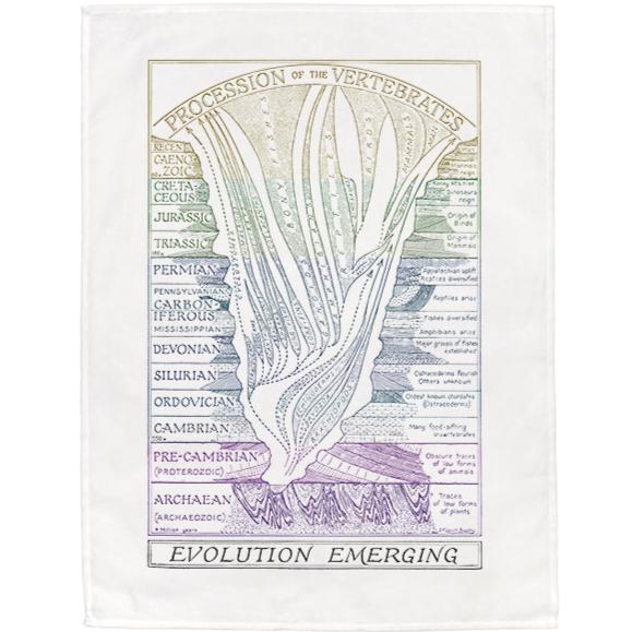 Evolution Emerging Tea Towel - Present Indicative