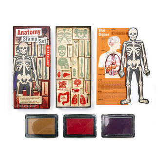 Anatomy Stamp Set – Present Indicative