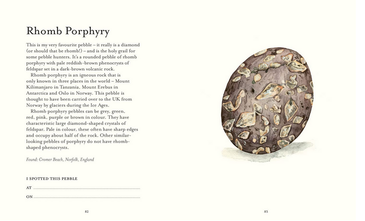 The Pebble Spotter's Guide – Present Indicative