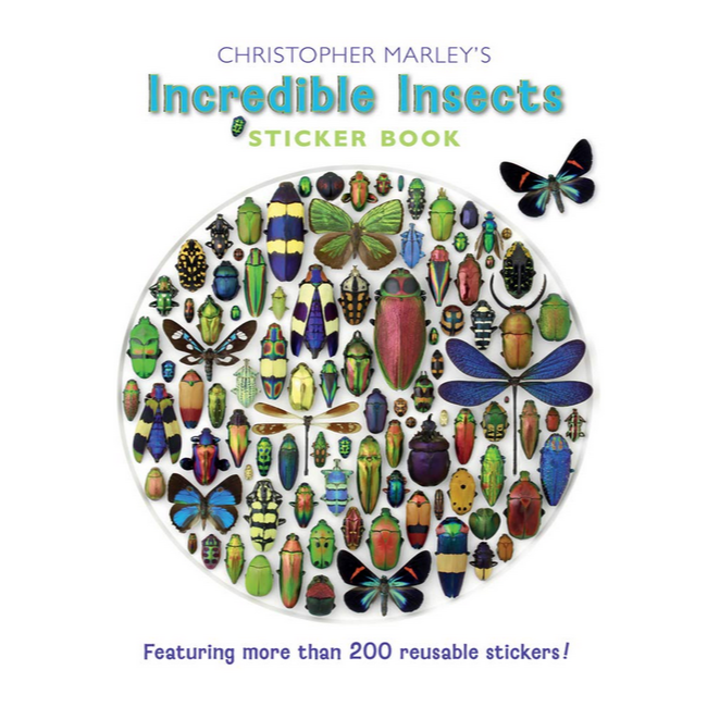 Incredible Insects Sticker Book – Present Indicative