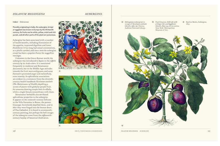 The Secret Language of Plants: Art, Nature & Symbolism – Present Indicative