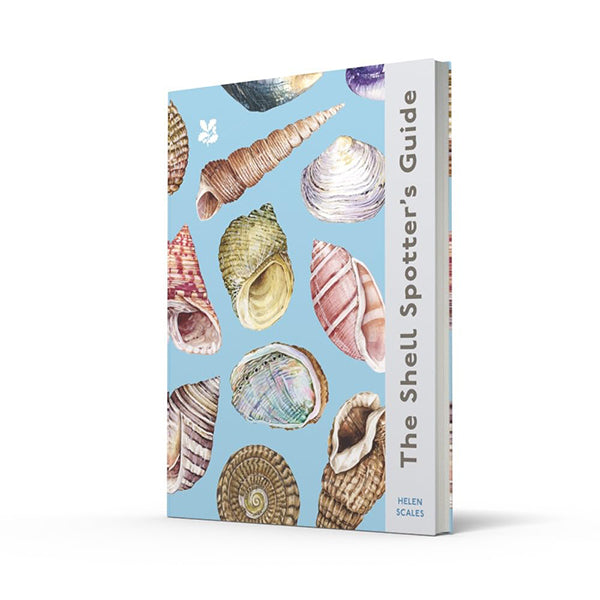 The Shell Spotter's Guide – Present Indicative