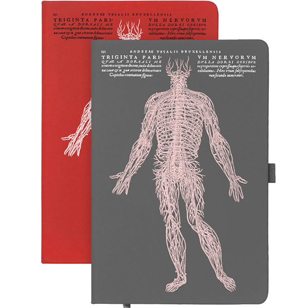 Vesalius Nervous System Notebook - Present Indicative