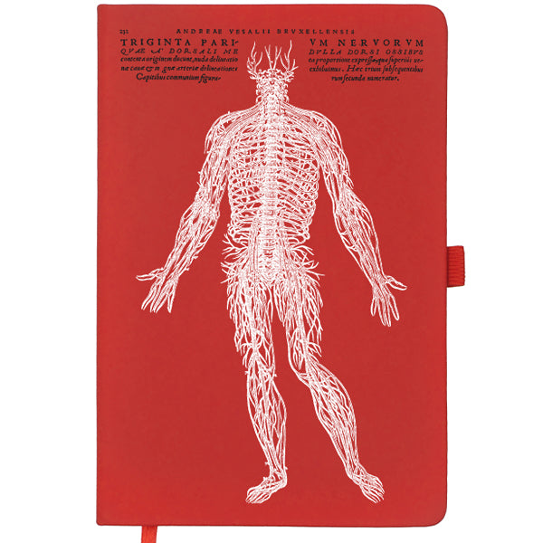 Vesalius Nervous System Notebook - Present Indicative