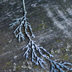 Filament Necklace – Present Indicative