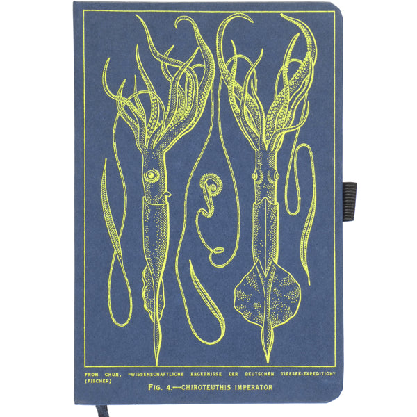 Emperor Squid A5 Kraft Notebook - Present Indicative