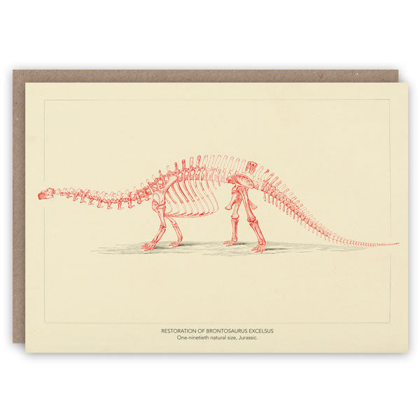Brontosaurus Card - Present Indicative