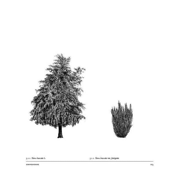 The Architecture of Trees – Present Indicative