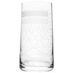Electromagnetic Spectrum Drinking Glass – Present Indicative