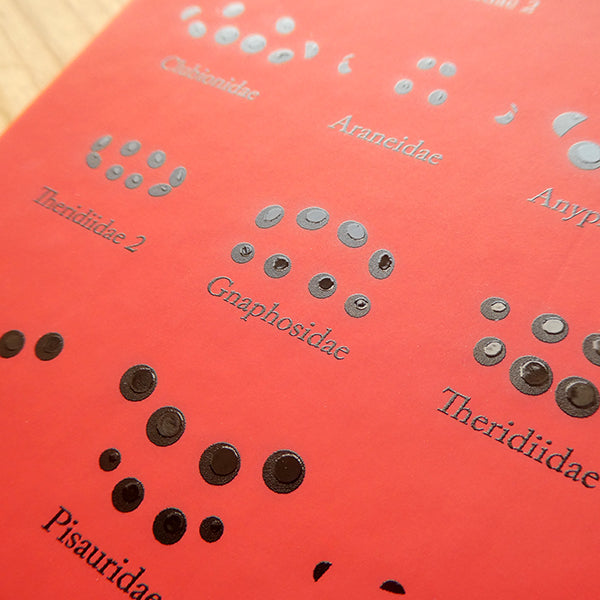 Spider Eye Arrangement Chart Notebook - Present Indicative